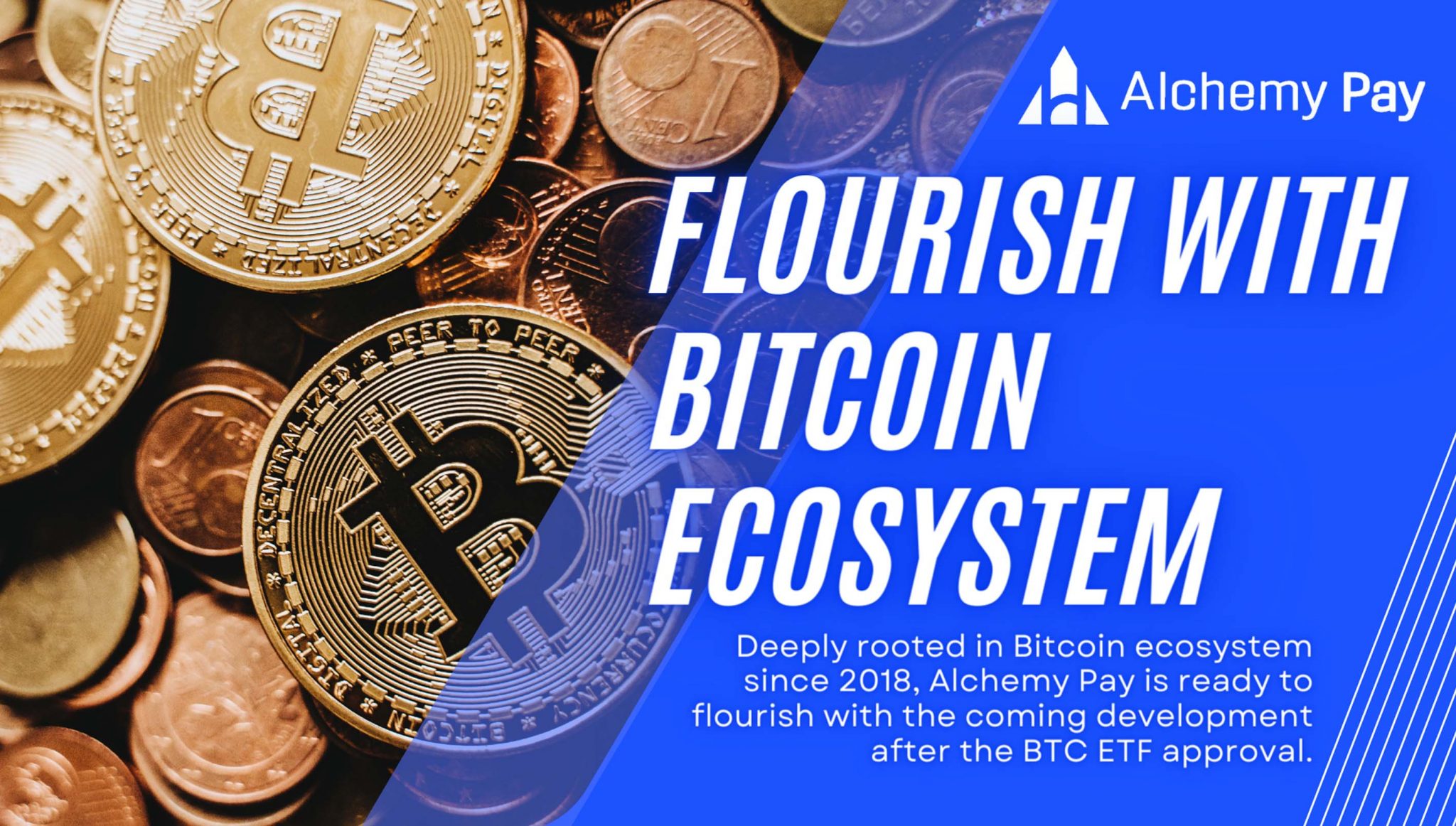 Beyond the BTC ETF Approval: Alchemy Pay's Journey Alongside the ...